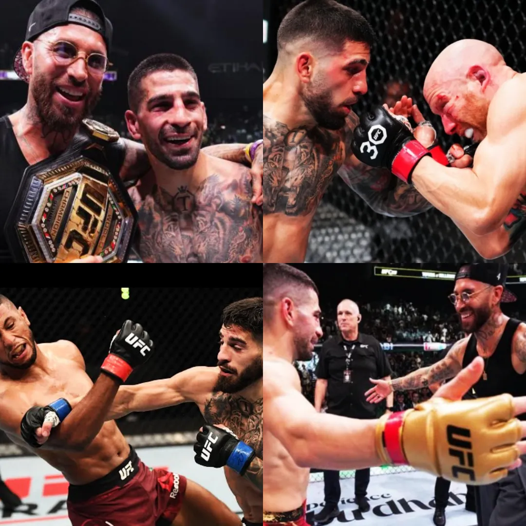 Bulls Punch Each And Compete For Rank Other - Flash News