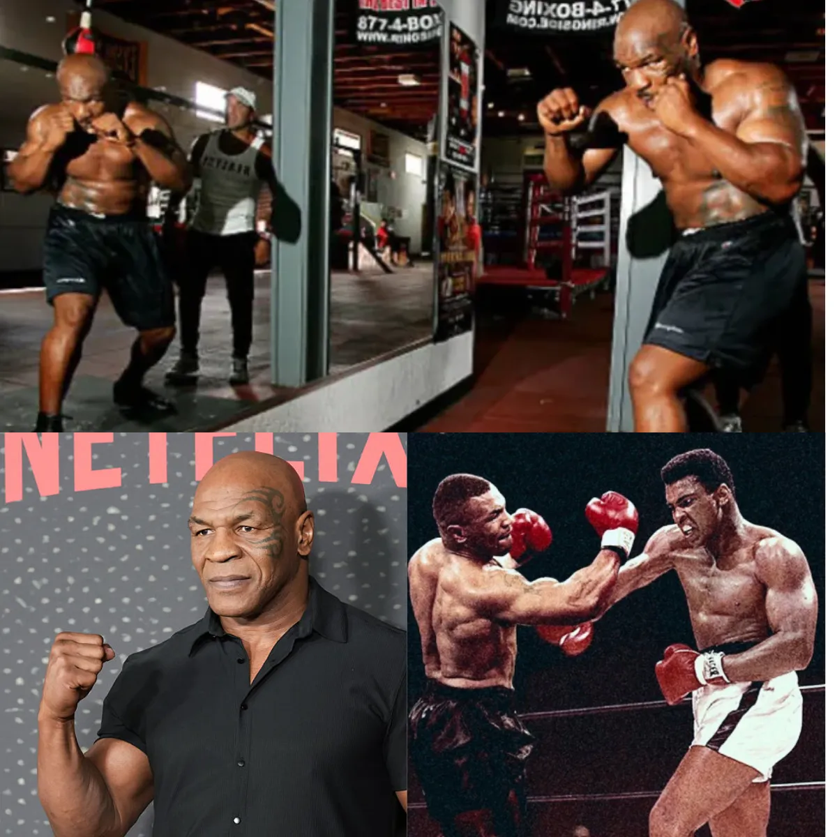 Jake Paul Should Notice Mike Tyson’s Punches-being Knockout Without ...