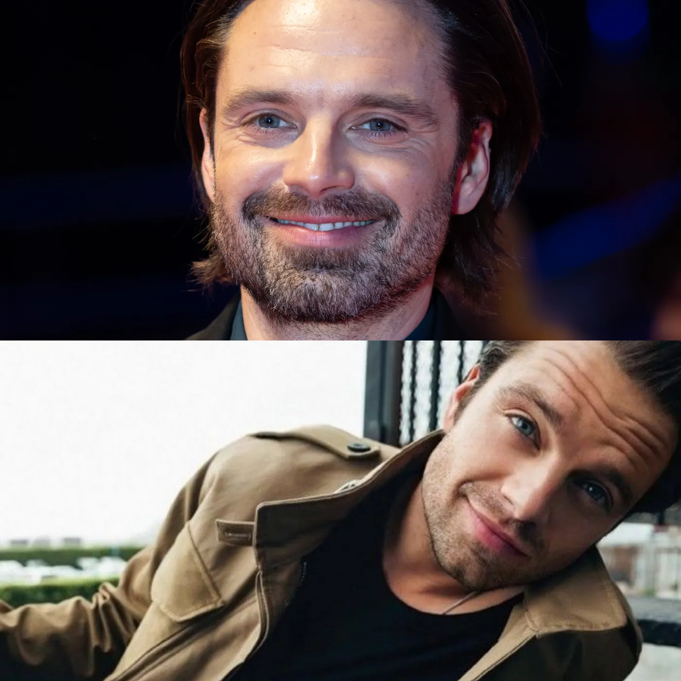 The Shocking Truth Behind Sebastian Stan's Cancellation Of His ...