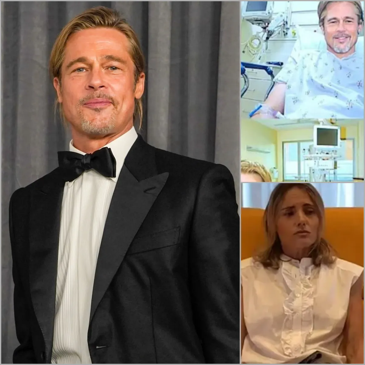 Brad Pitt Defrauded A French Woman Out Of Hundreds Of Thousands Of Dollars, Shocking Hollywood.