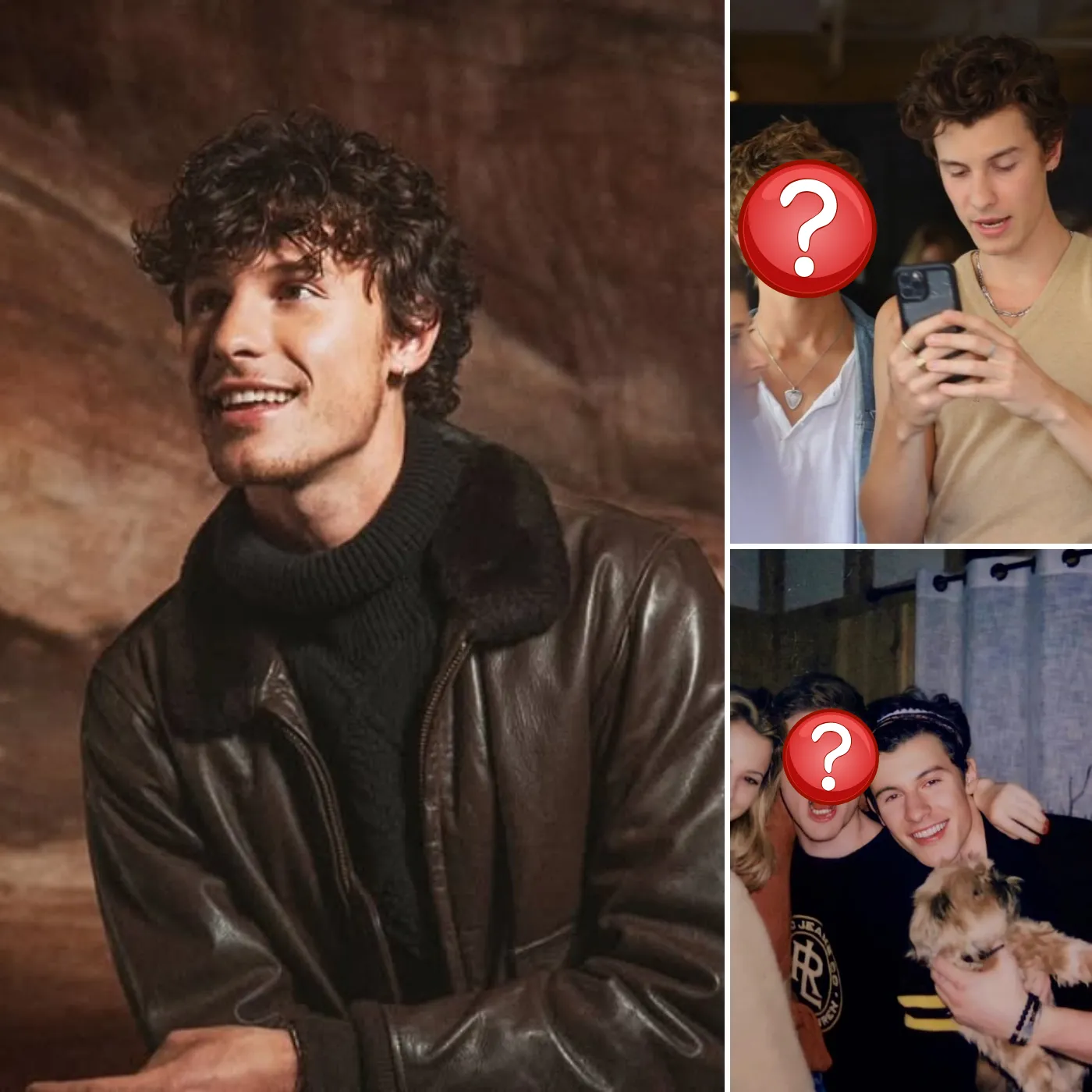 Shawn Mendes Is Enjoying Himself With His Boyfriend.